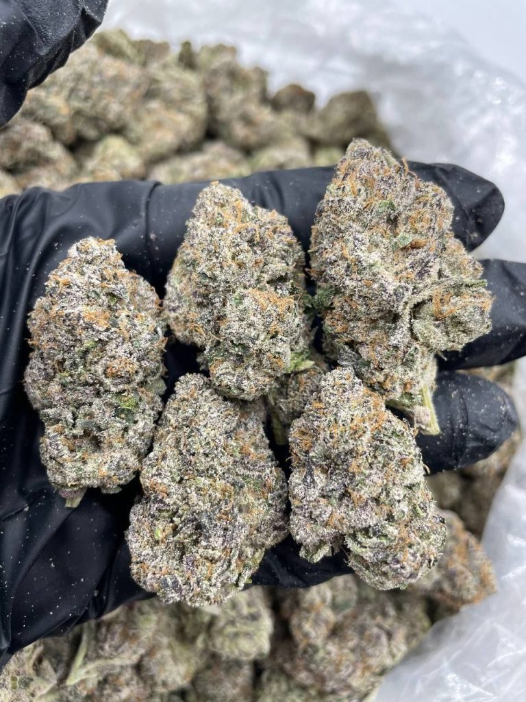 Buy cherry gumbo strain Online – Official ZAZA #1 weed brand